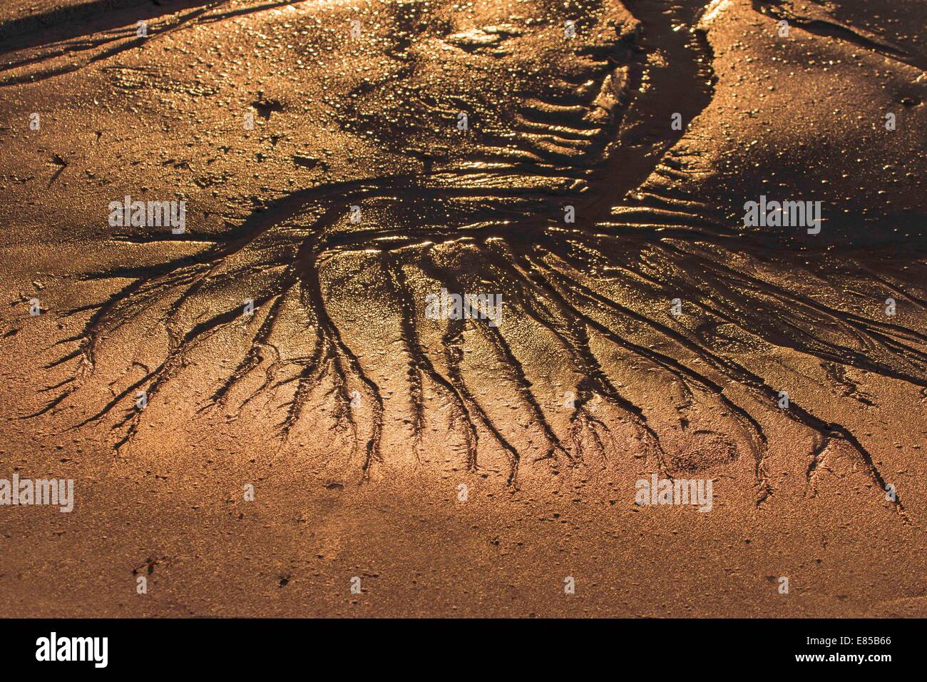 Small Water Channels On The Beach Stock Photo - Alamy