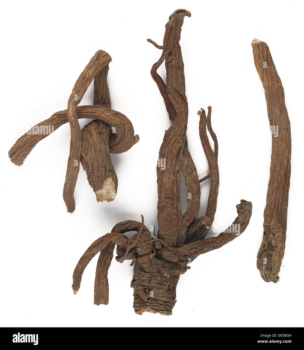 Alp plants Cut Out Stock Images & Pictures - Alamy