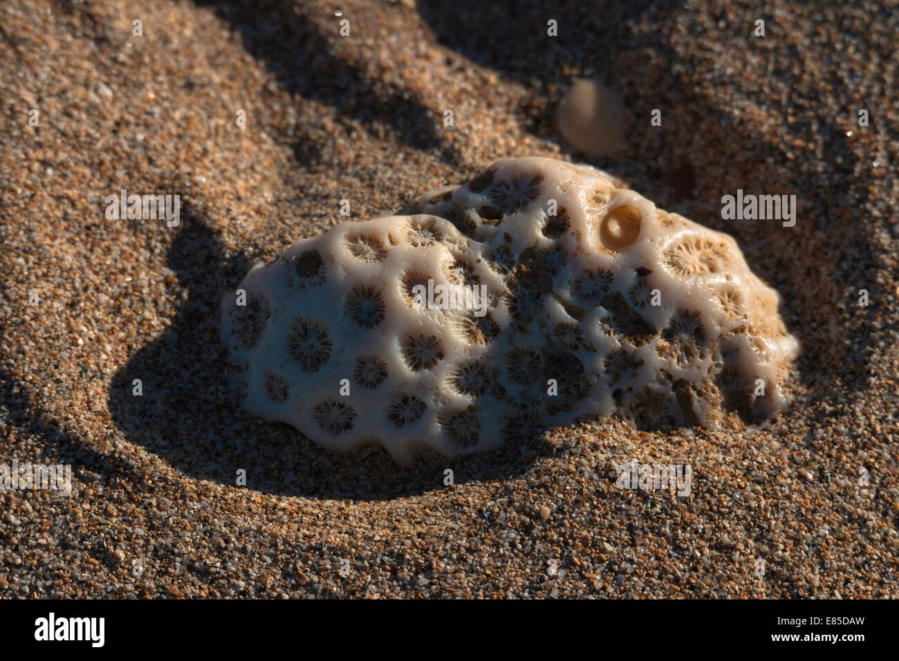 Exmouth strand hi-res stock photography and images - Alamy