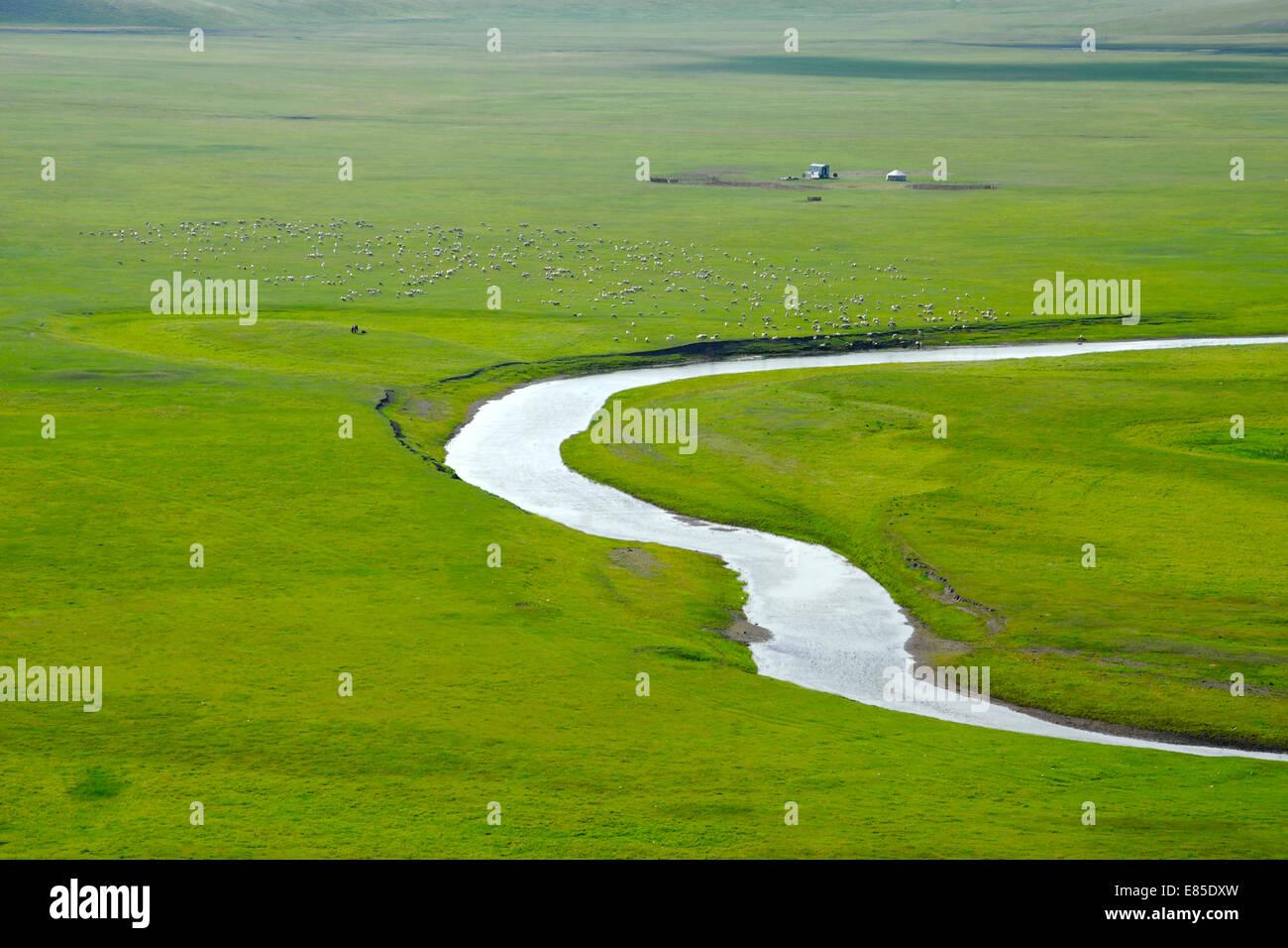 China sheep inner mongolia hi-res stock photography and images - Alamy