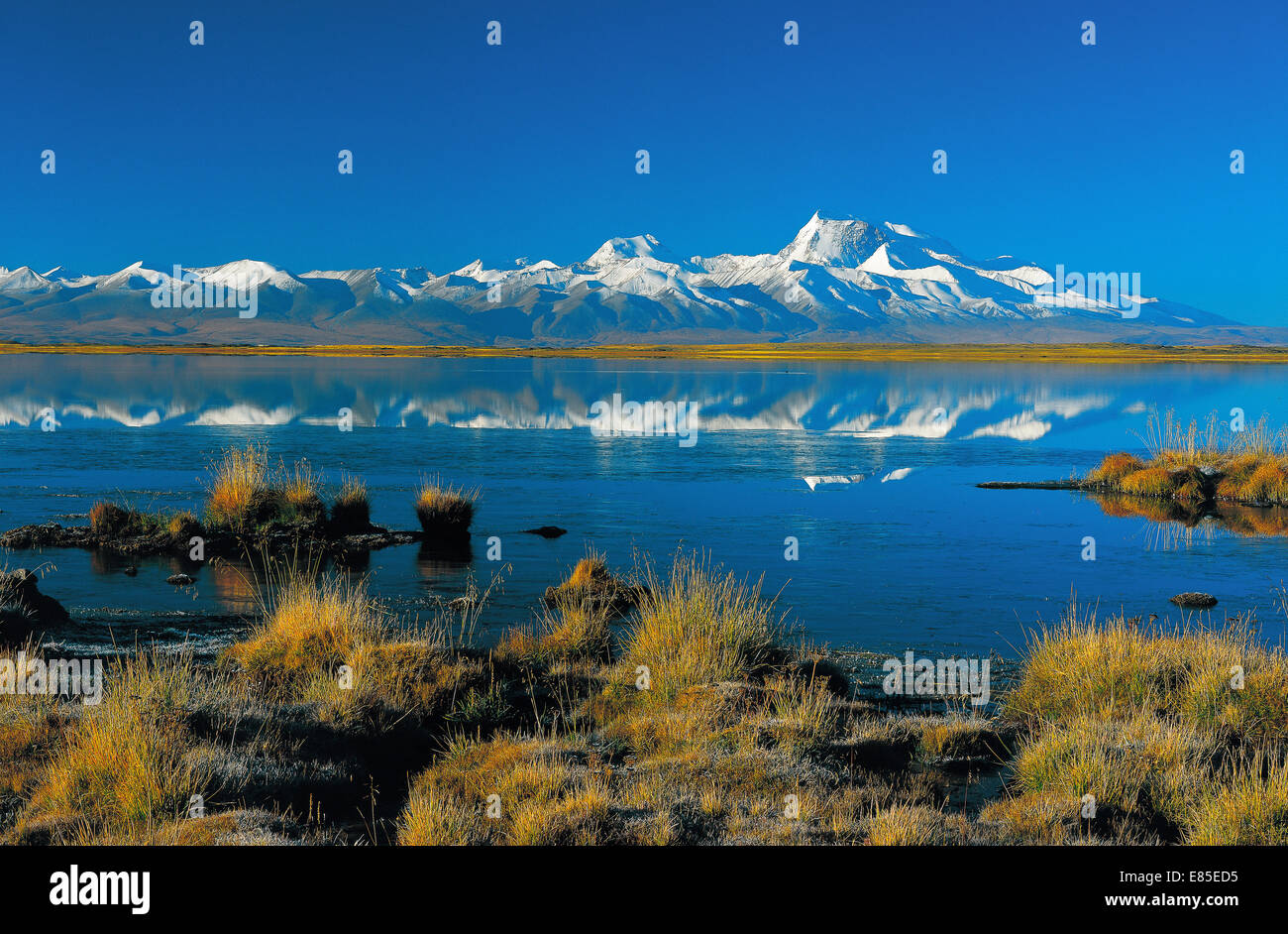 China tibet lhasa snow hi-res stock photography and images - Alamy