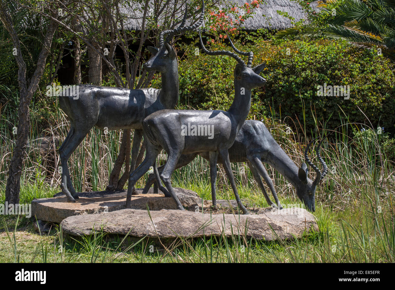 Bronze statues of impala rams outside reception in Skukuza Stock Photo ...