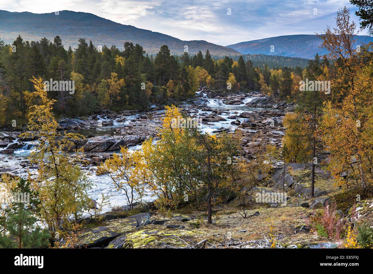 Saltdalen High Resolution Stock Photography and Images - Alamy
