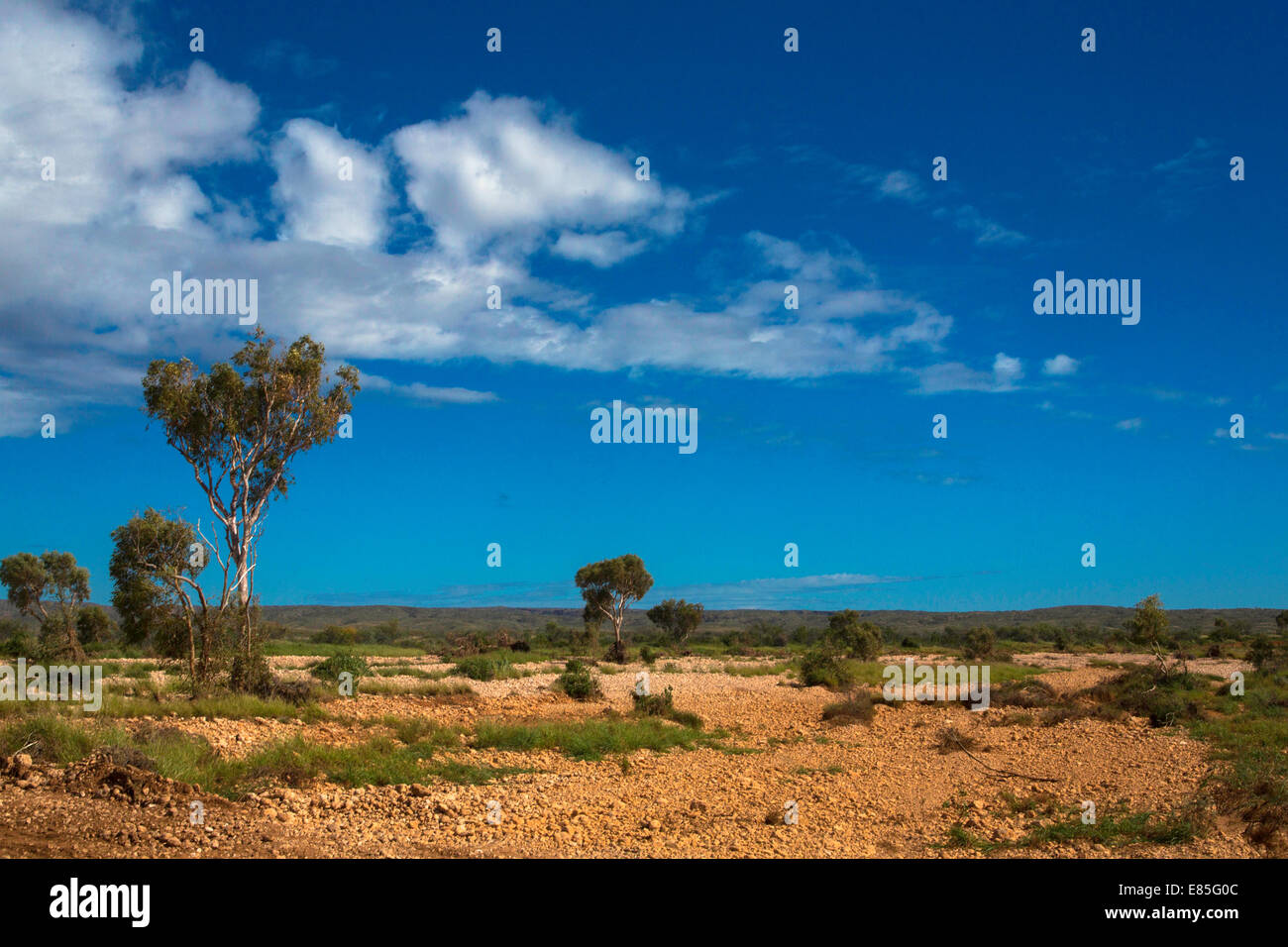 dry landscape in Western Australia Stock Photo - Alamy