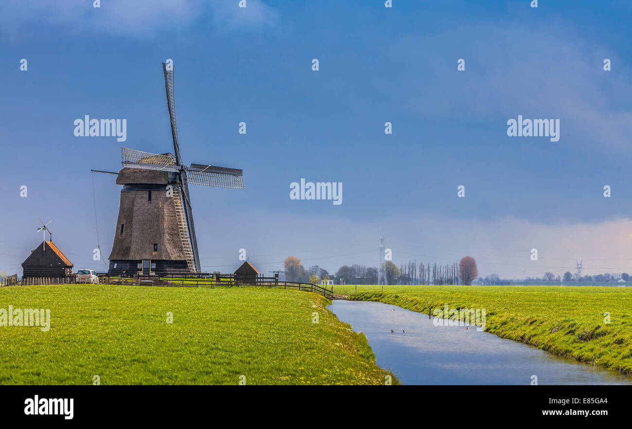 Dutch landscape with a traditional windmill in a green field near a ...