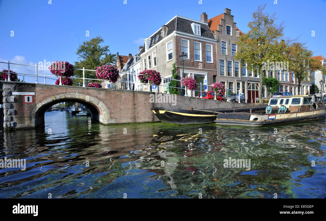 The city of Leiden is the birthplace of Rembrandt, has the oldest ...
