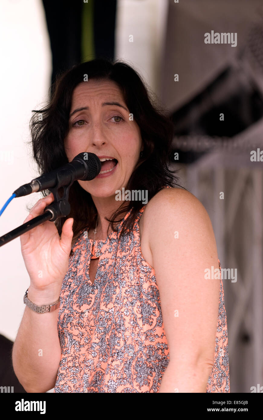 Jazz and pop singer hi-res stock photography and images - Alamy