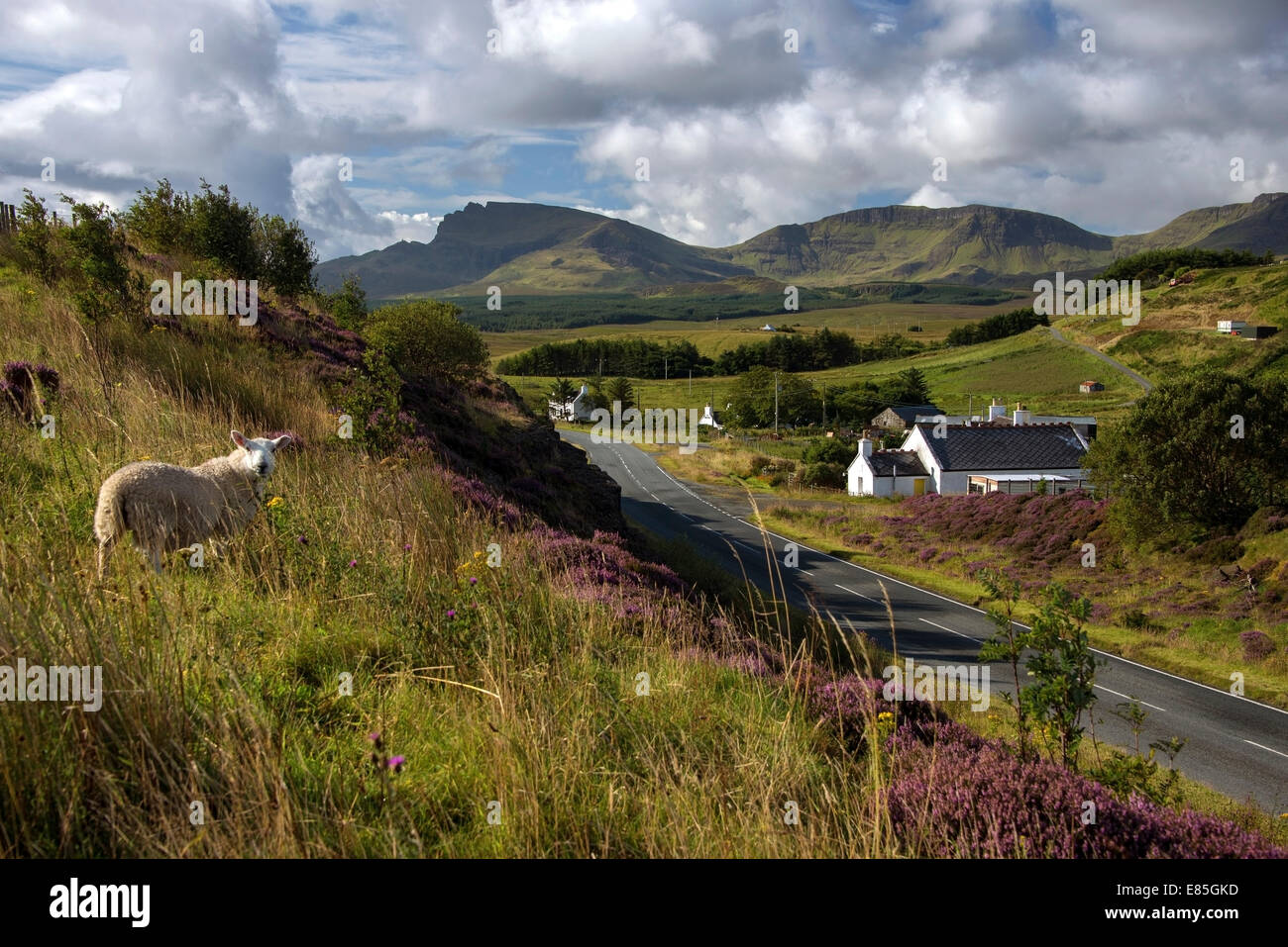 A855, near Staffin, Isle of Skye, Highland, Scotland Stock Photo - Alamy