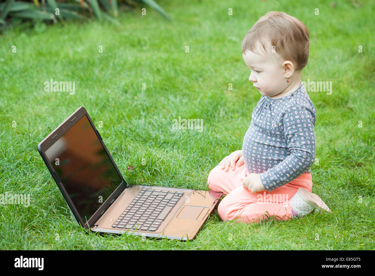 Curious baby with laptop computer laying in the grass Stock Photo - Alamy