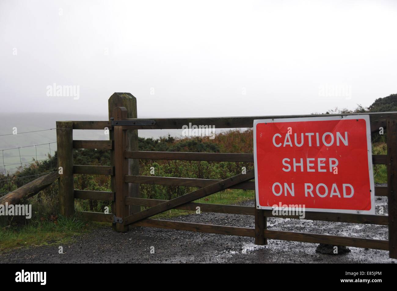 Caution sheep sign Stock Photo - Alamy