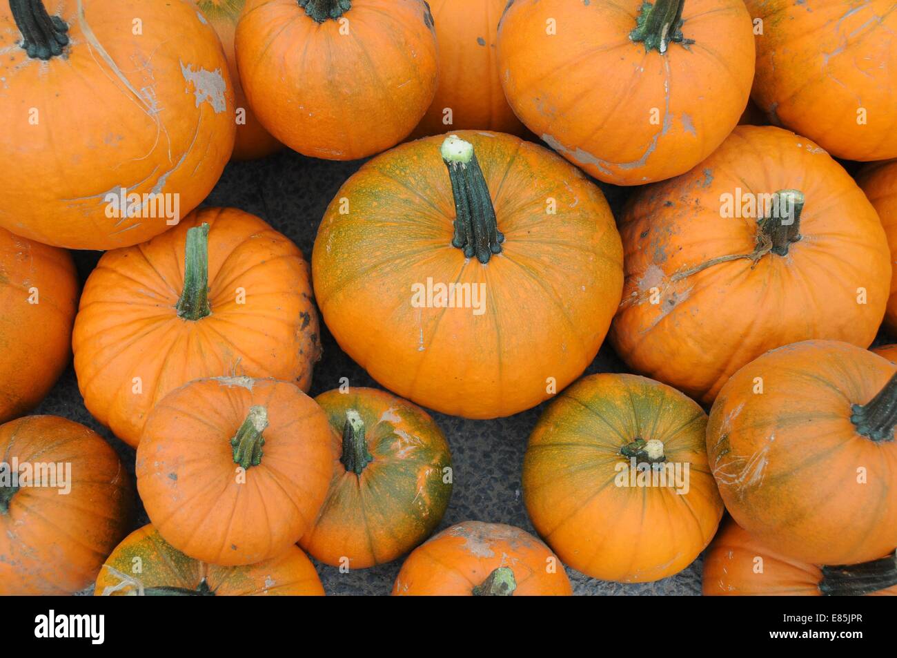 Close up of food Stock Photo - Alamy