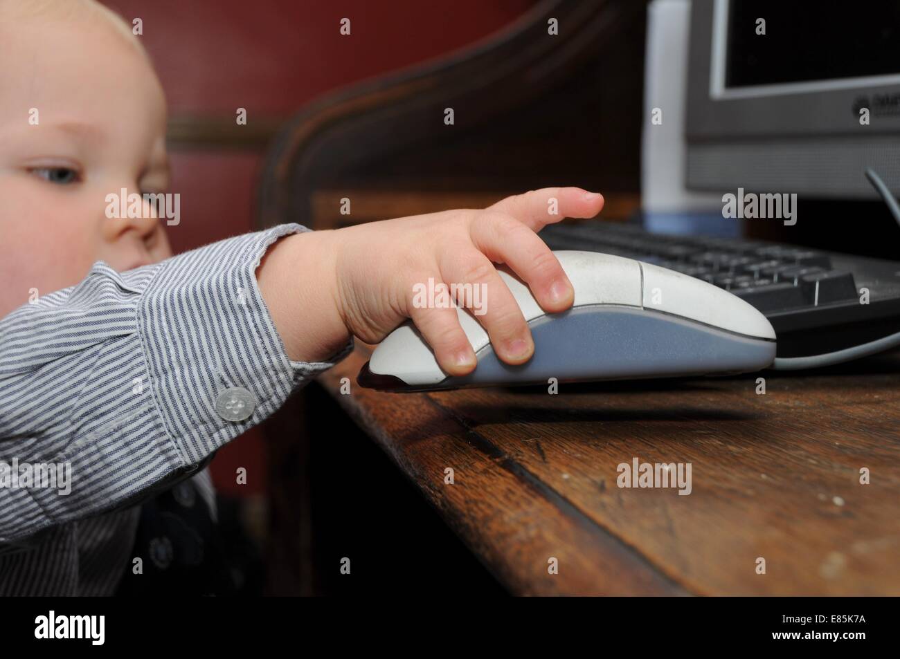 Baby using a computer mouse Stock Photo - Alamy