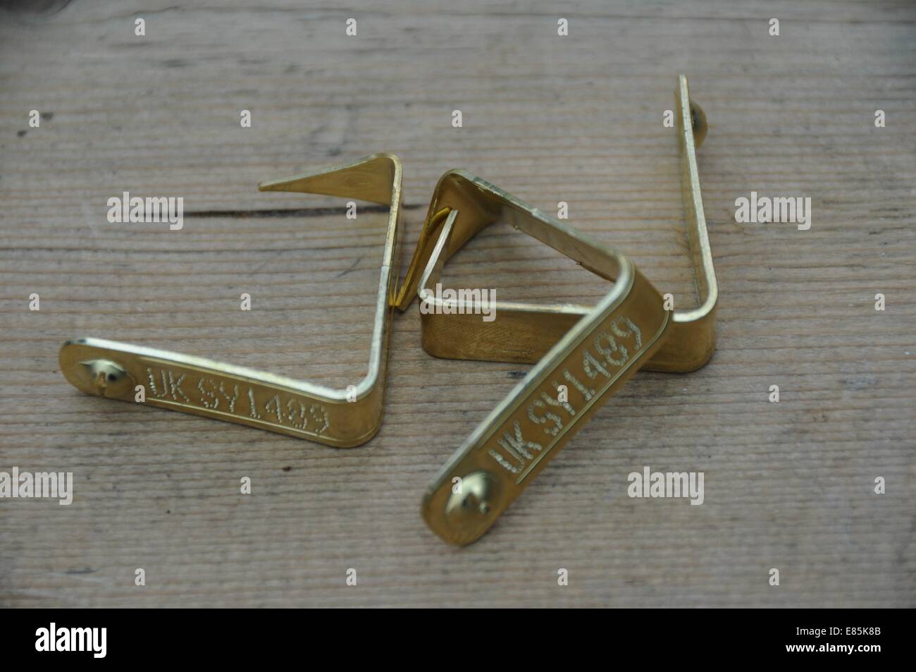 Ear tags identify hi-res stock photography and images - Alamy