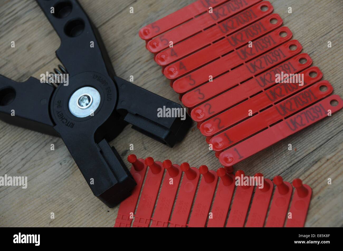 02e22867 hi-res stock photography and images - Alamy