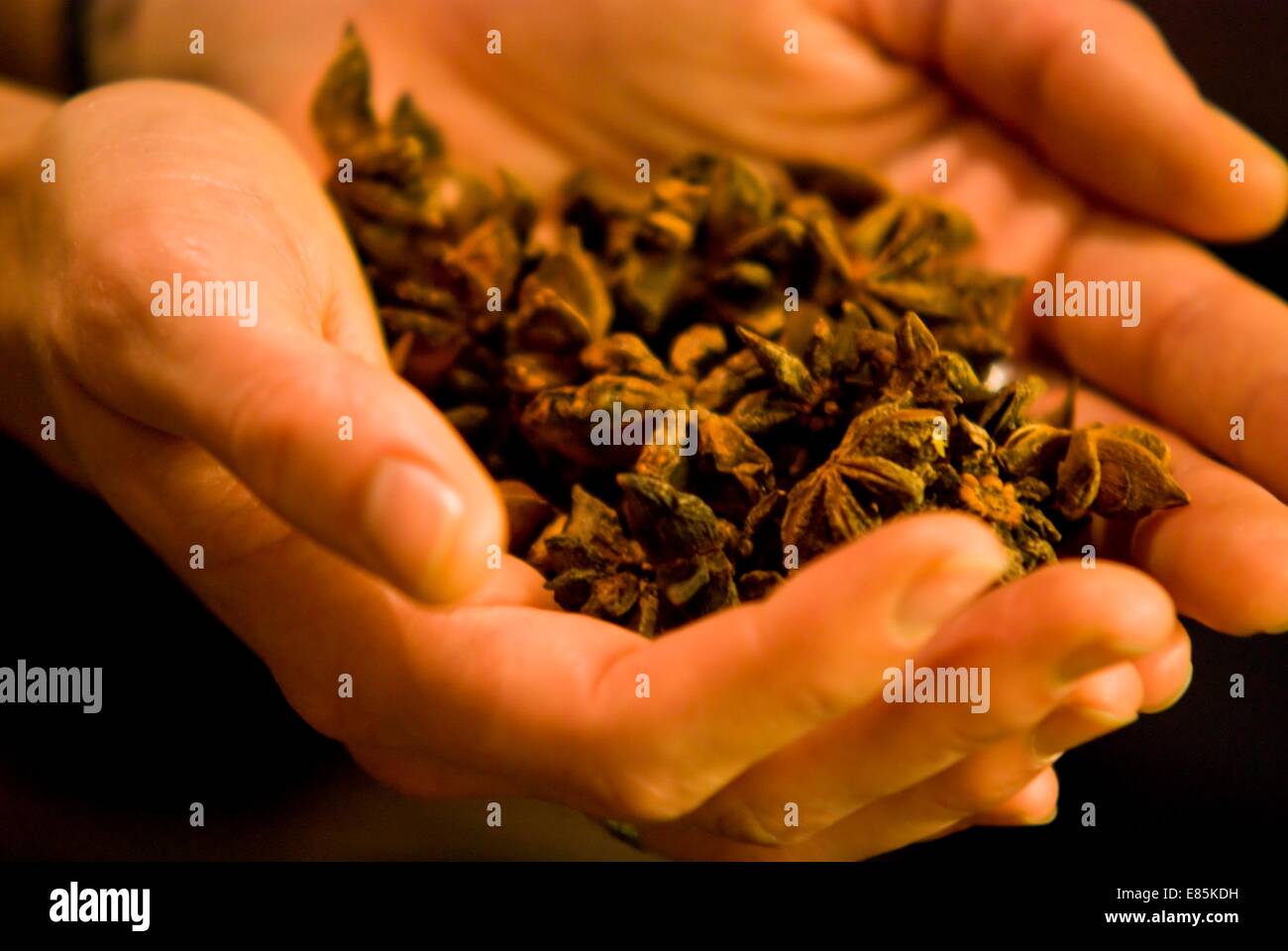 Woman holding star shaped hi-res stock photography and images - Alamy