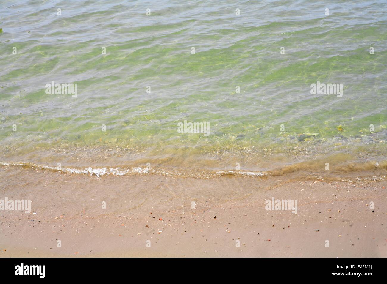 The sandy seashore with coming wave of green water Stock Photo - Alamy