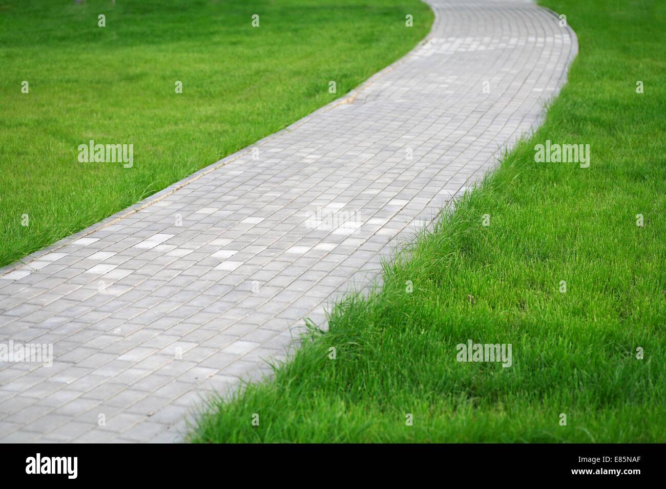paved lane of the garden and green grass Stock Photo - Alamy