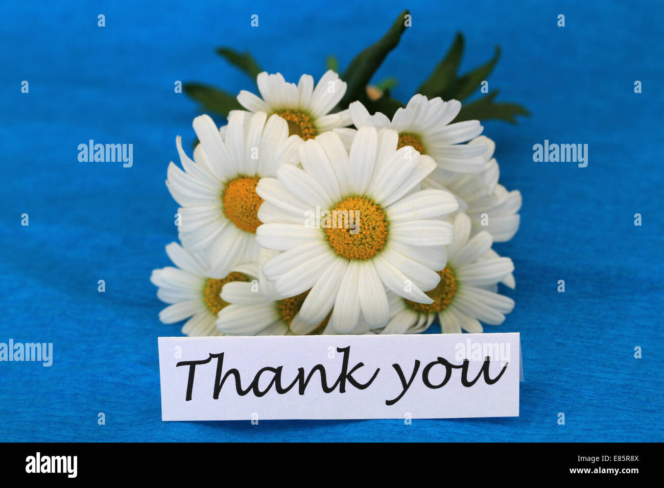 Thank you blue hi-res stock photography and images - Alamy