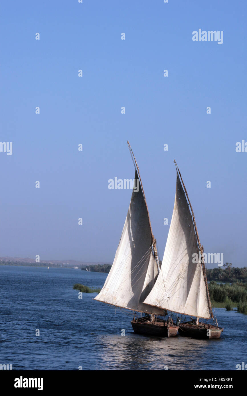 Luxor animals hi-res stock photography and images - Alamy