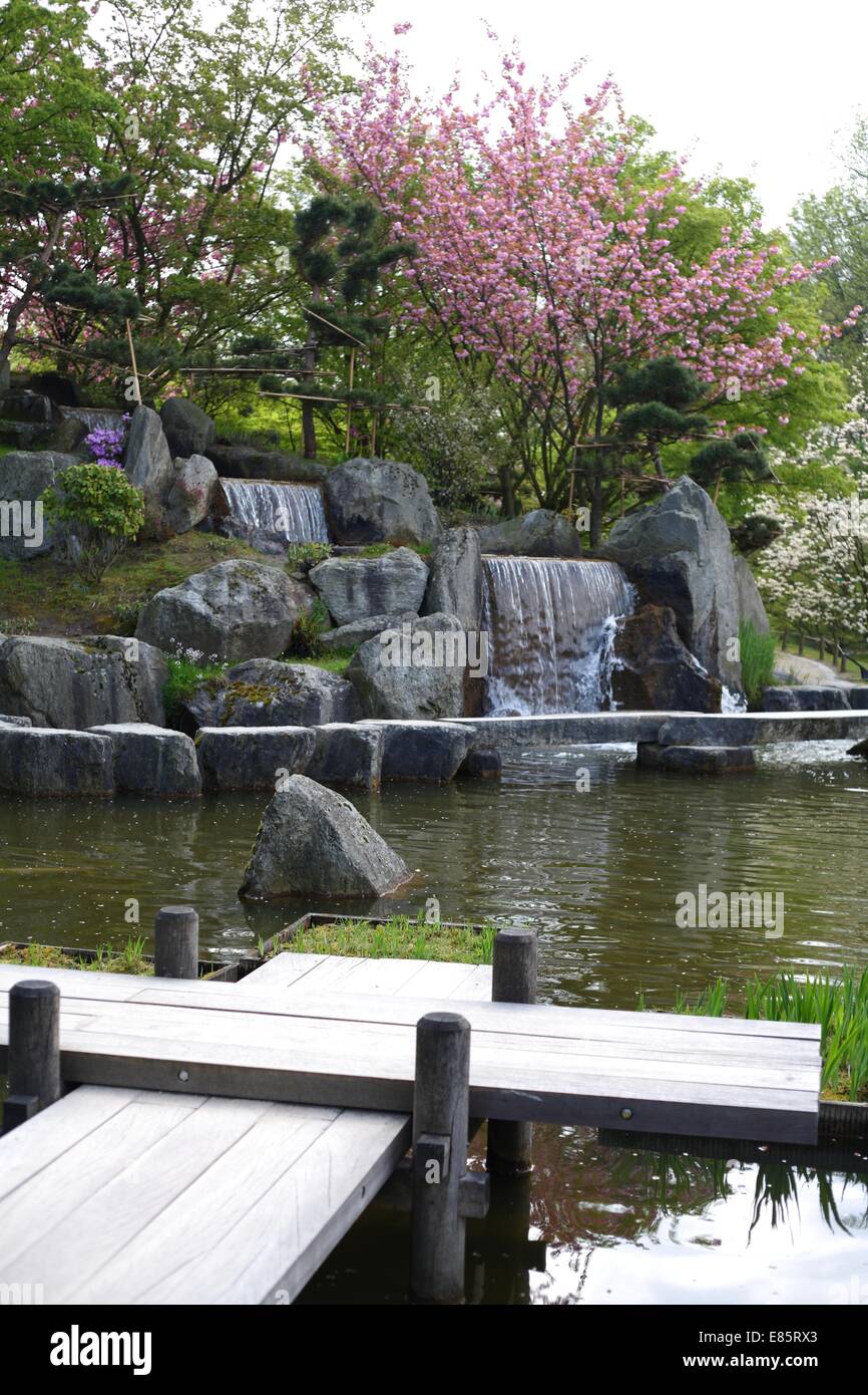 Pond in Japanese Garden Stock Photo - Alamy