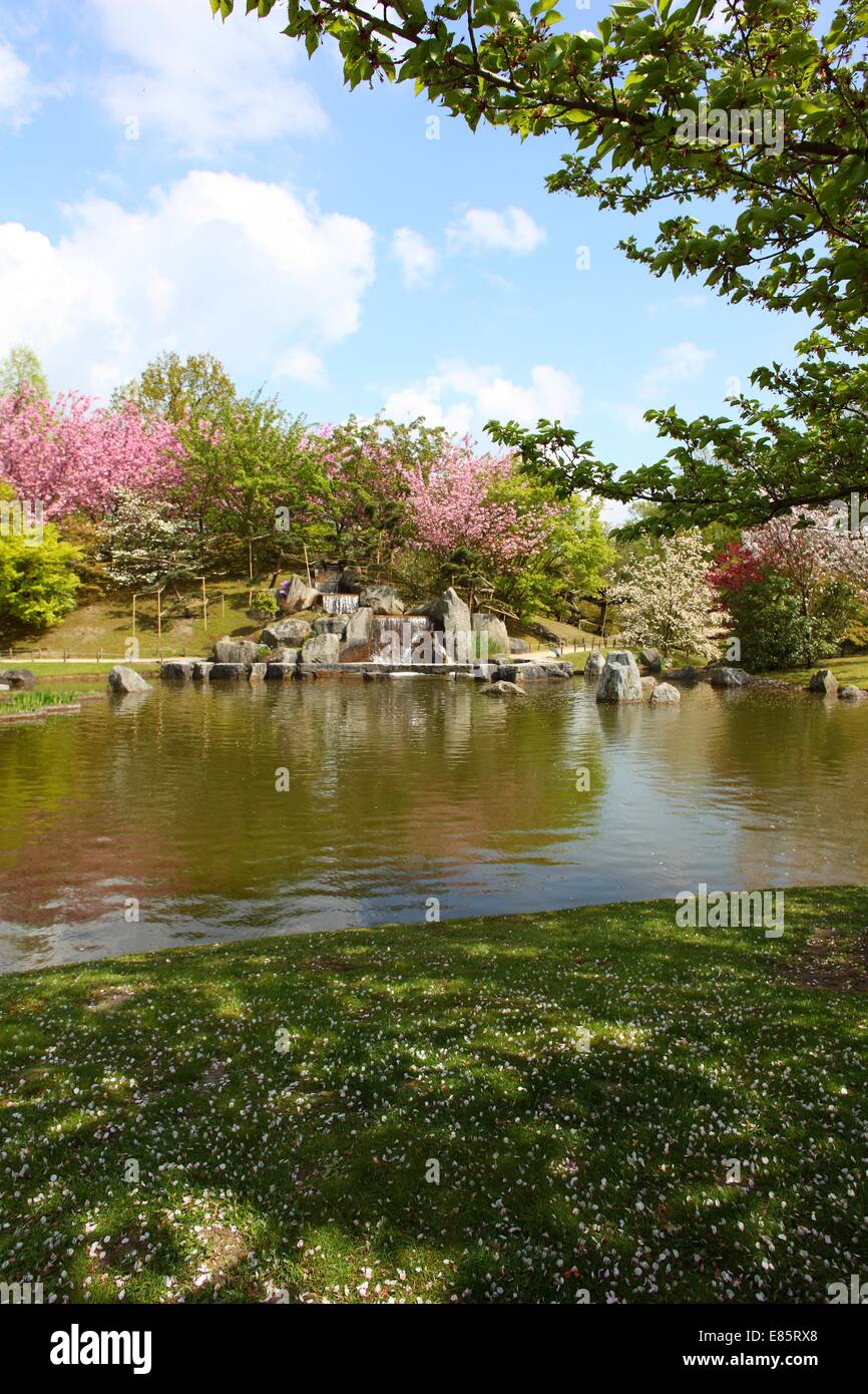 Pool in Japanese Garden Stock Photo - Alamy