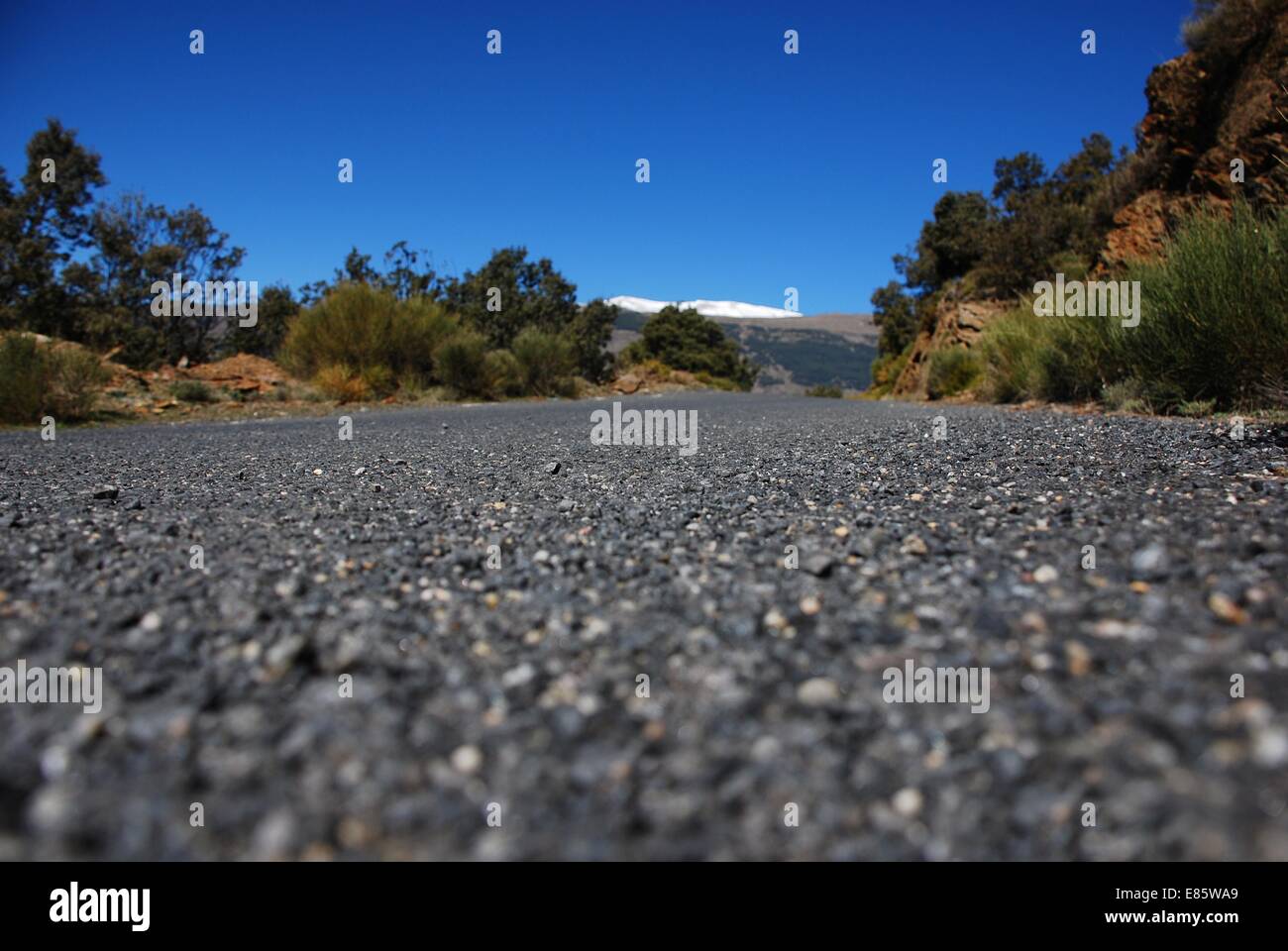 Road dissecting hi-res stock photography and images - Alamy