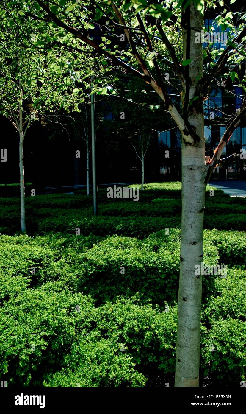 Trees in a park Stock Photo - Alamy