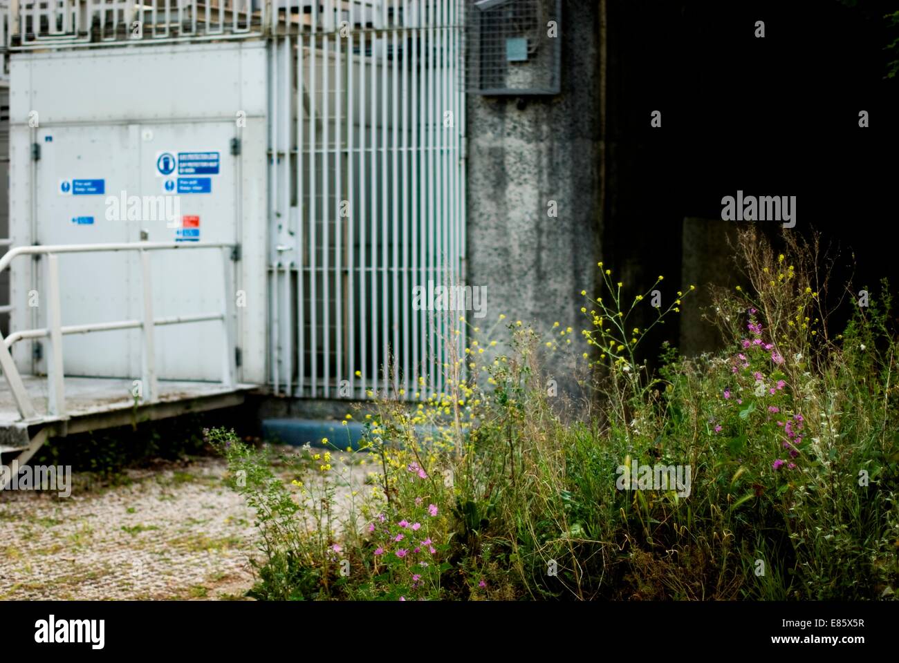 Industrial gate and plants Stock Photo - Alamy