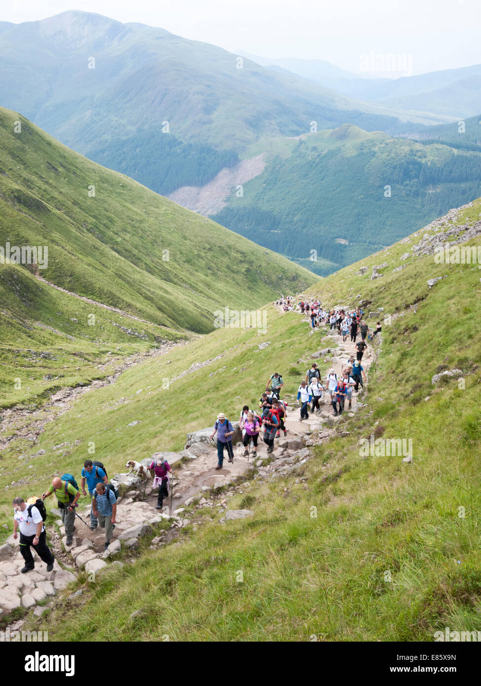 The tourist path up to Ben Nevis crowded with walkers, Scotland UK ...