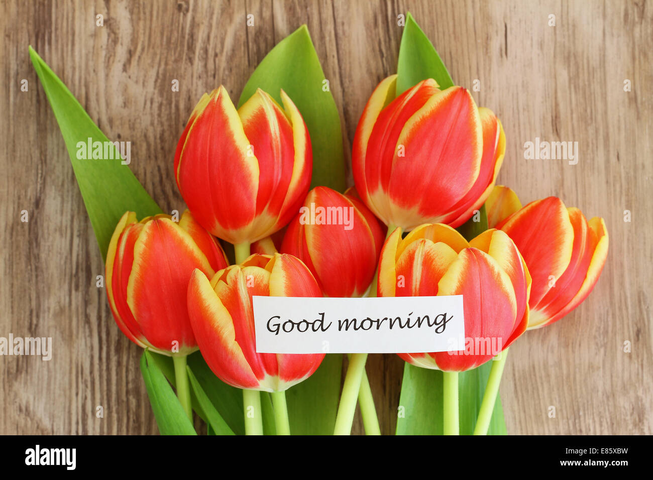 Good morning card with red and yellow tulips on wooden surface Stock ...