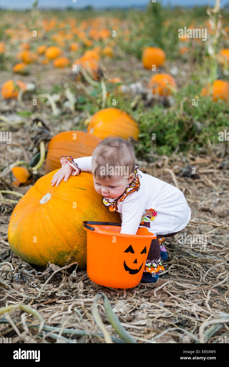 Cute baby eating pumpkin hi-res stock photography and images - Alamy