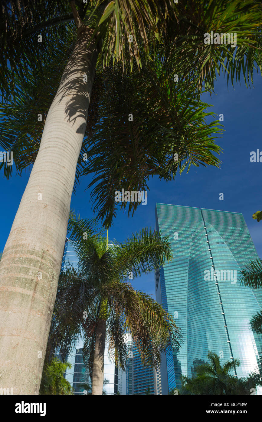 PALM TREES ESPIRITO SANTO ARCH PLAZA BUILDING (©KOHN PEDERSEN FOX 2004 ...
