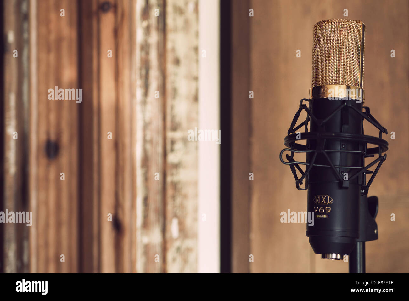 Gold Recording Studio Microphone
