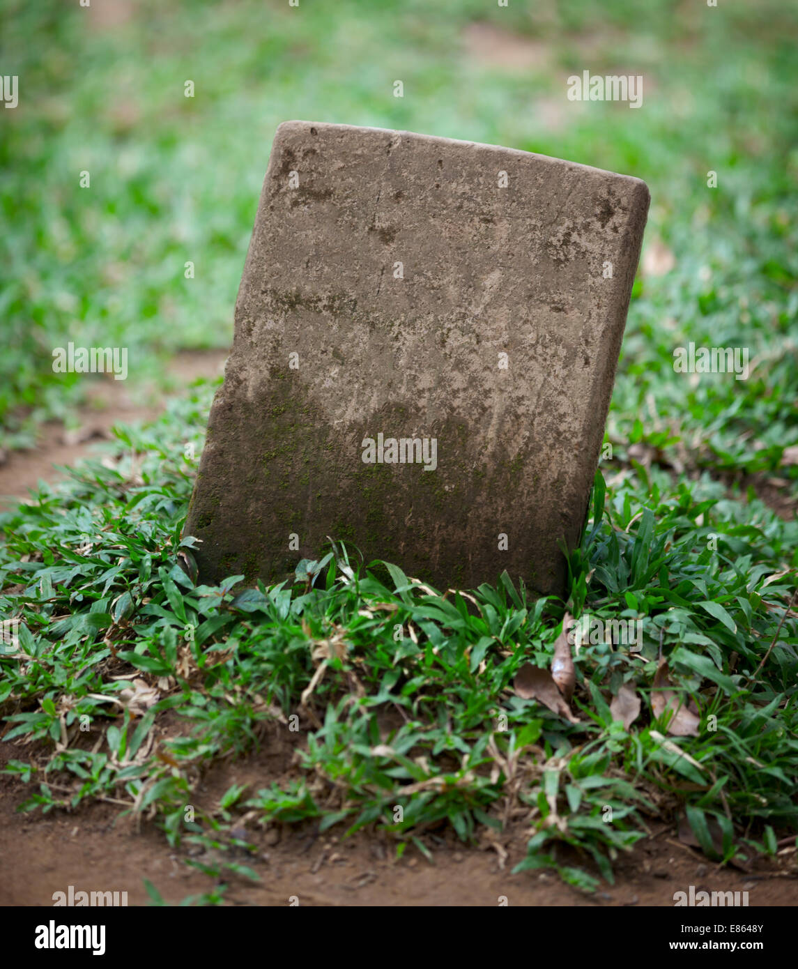 Rip up grass hi-res stock photography and images - Alamy