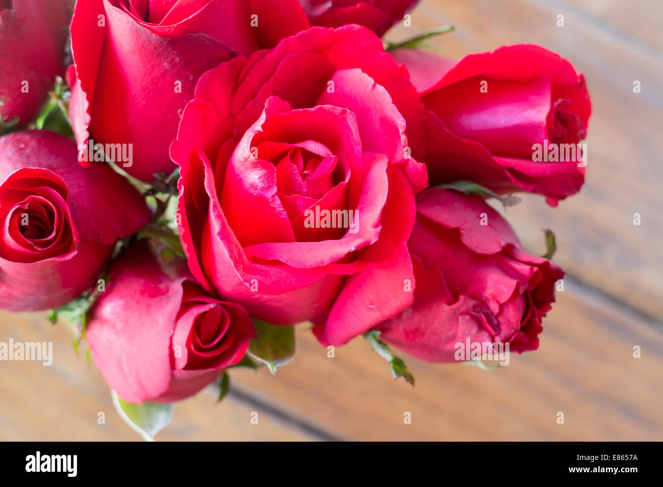 Beautiful red rose up close, stock photo Stock Photo - Alamy