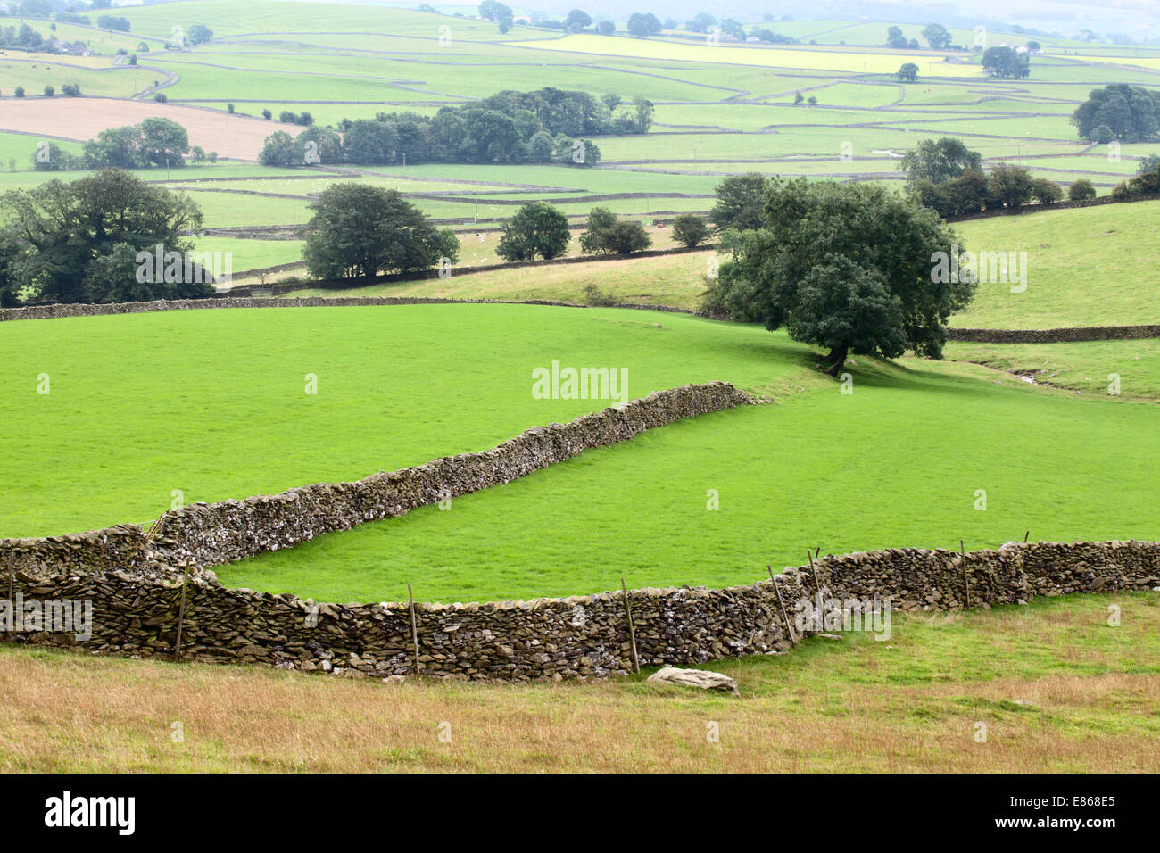 Dry Stone Walls and Meadows in Crummack Dale Yorkshire Dales England ...