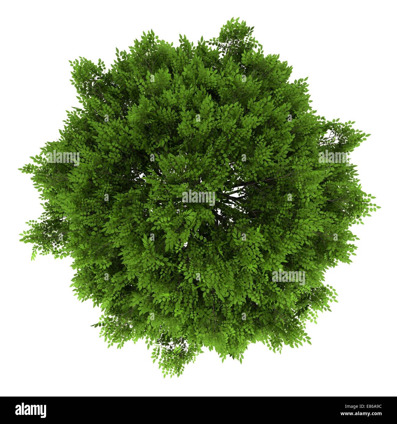 02j17924 hi-res stock photography and images - Alamy