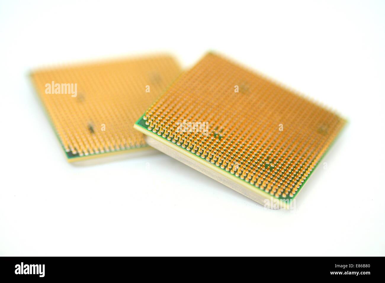 Closeup of a computer processor with golden pins over a white ...