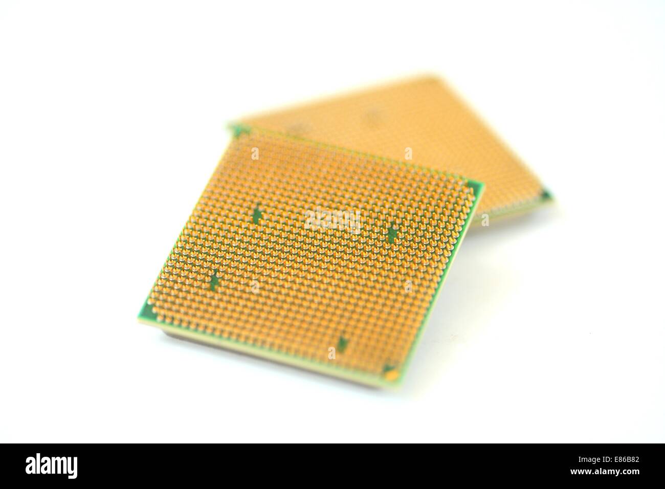 Closeup of a computer processor with golden pins over a white ...