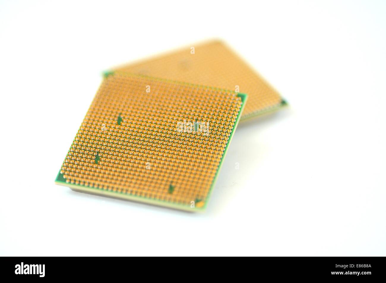 Closeup of a computer processor with golden pins over a white background Stock Photo - Alamy