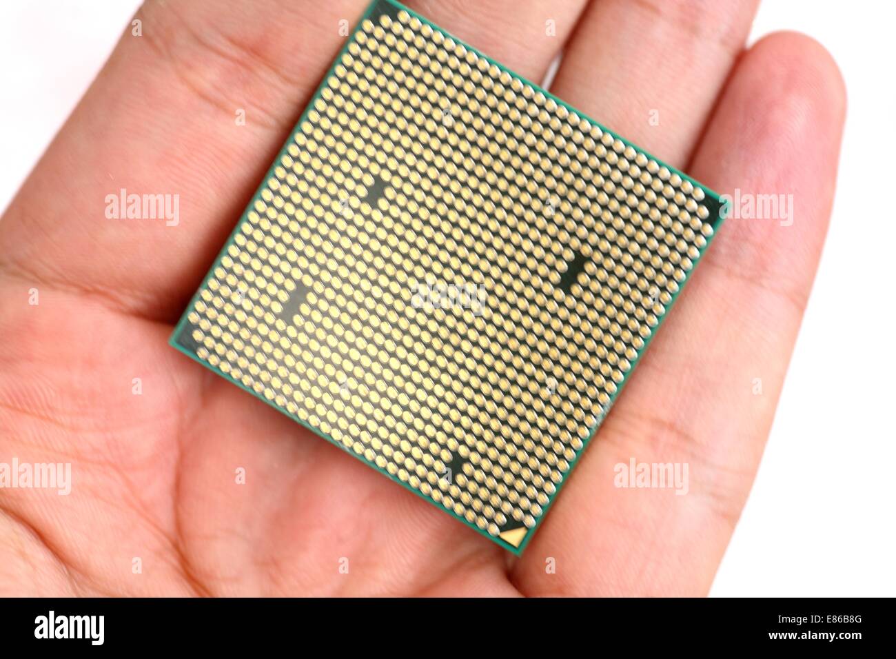 Processor in the hand Stock Photo - Alamy