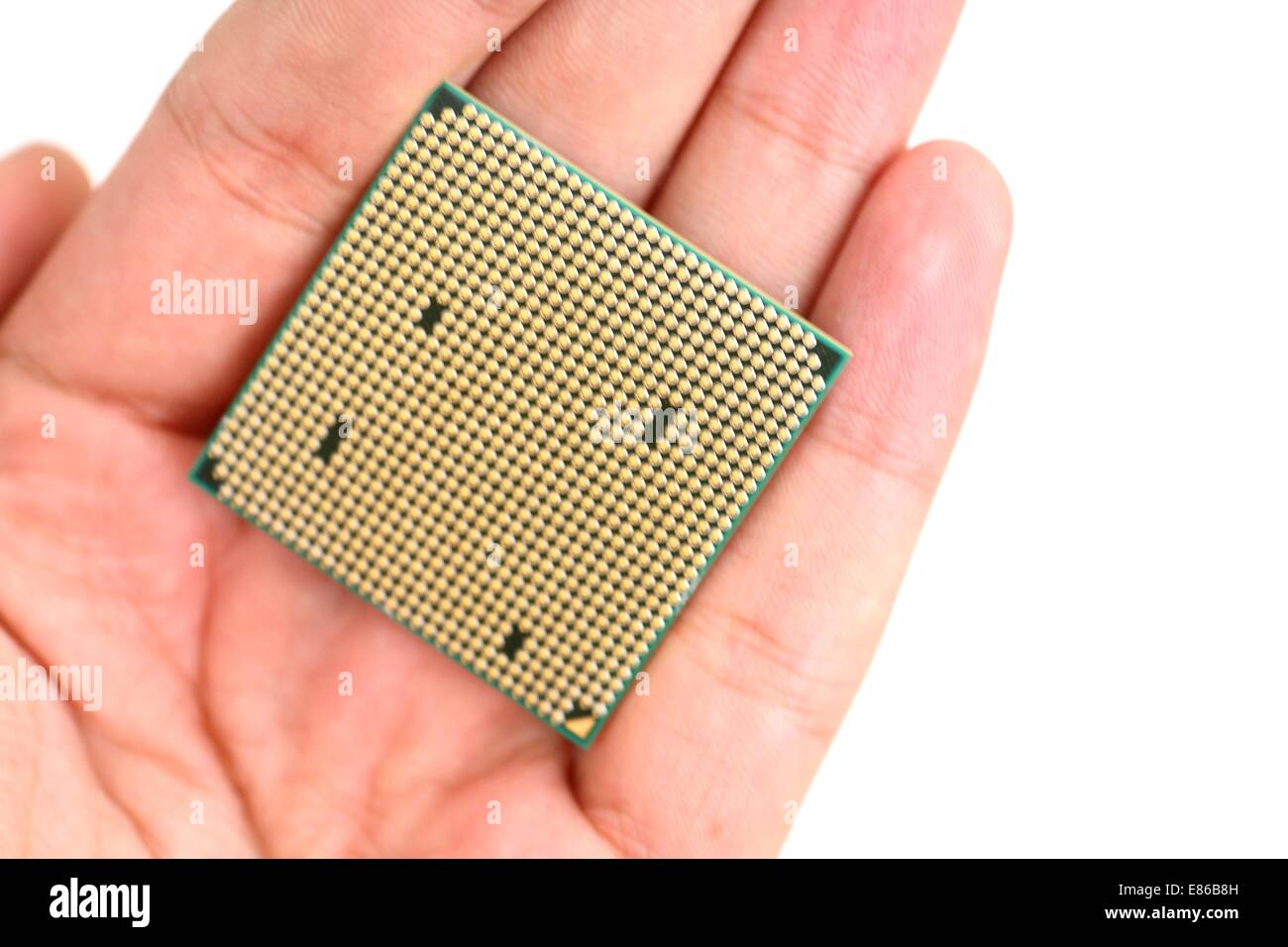 Processor in the hand Stock Photo - Alamy