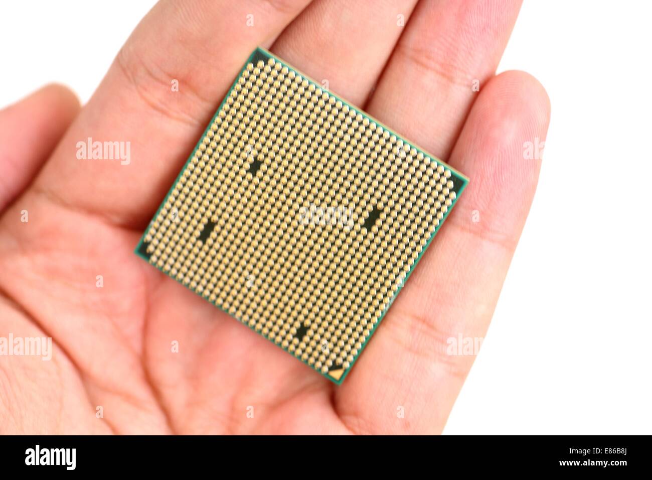 Processor in the hand Stock Photo - Alamy