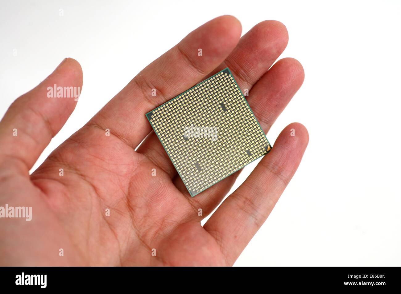 Processor in the hand Stock Photo - Alamy