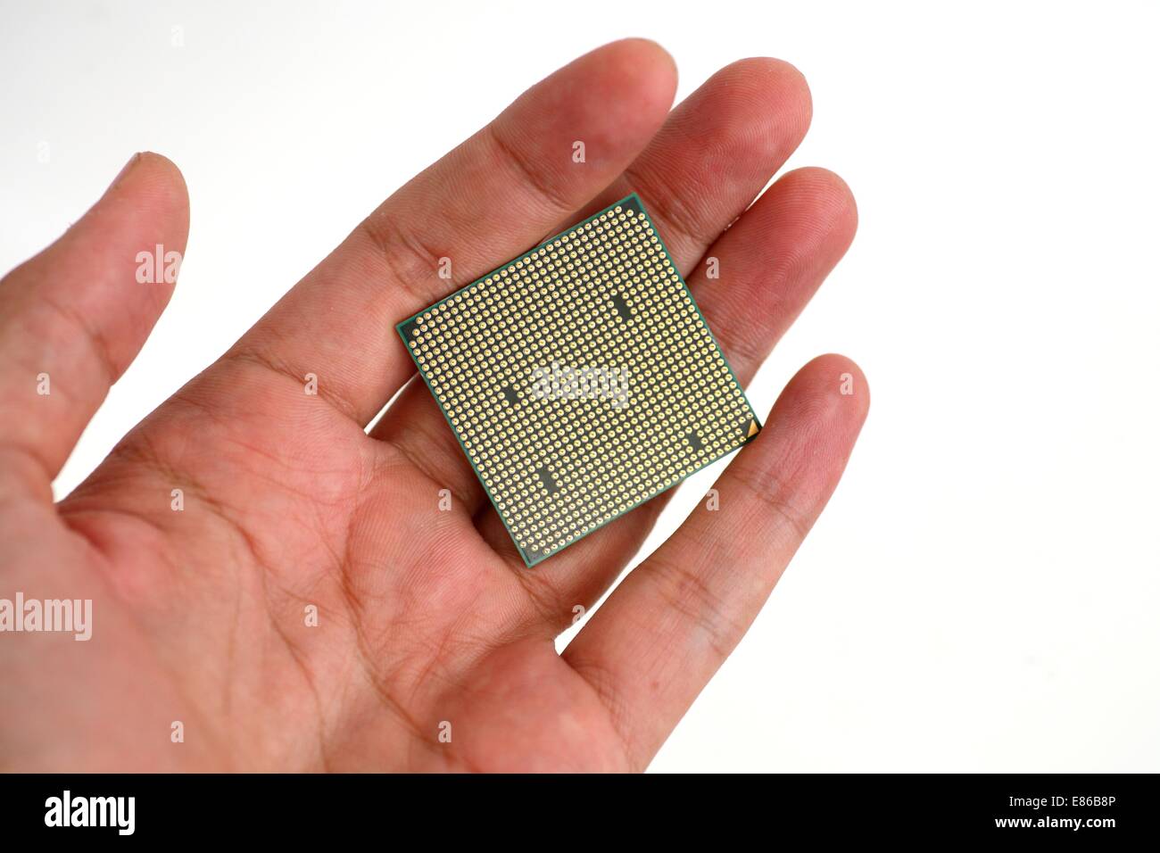 Processor in the hand Stock Photo - Alamy