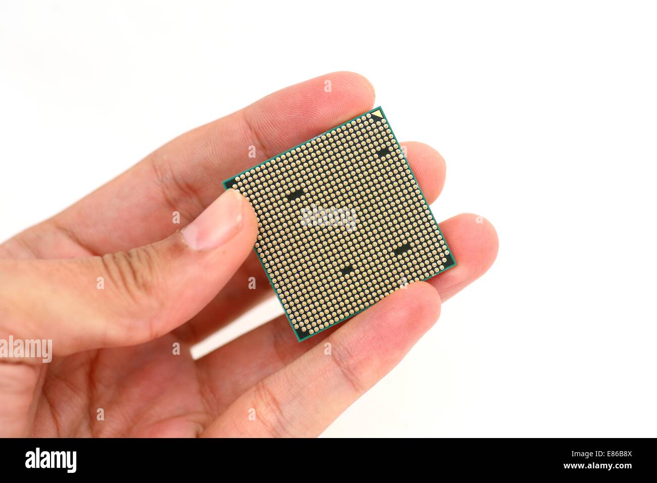 Processor in the hand Stock Photo - Alamy