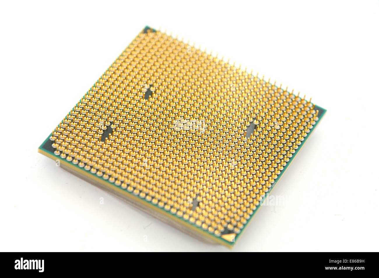 Closeup of a computer processor with golden pins over a white ...