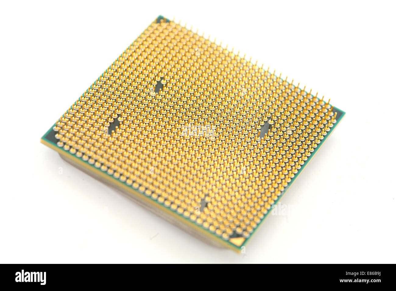 Closeup of a computer processor with golden pins over a white ...