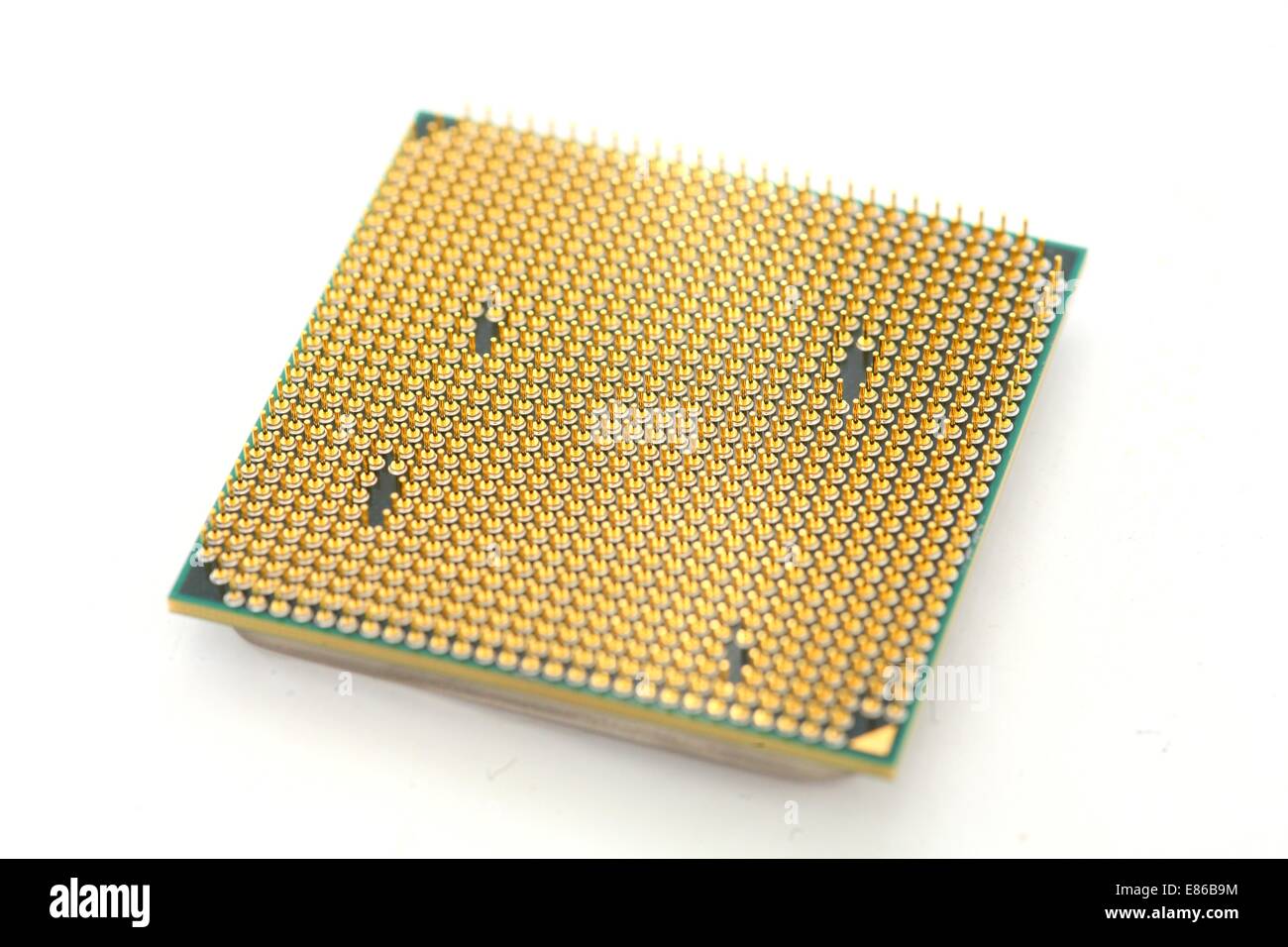 Closeup of a computer processor with golden pins over a white ...