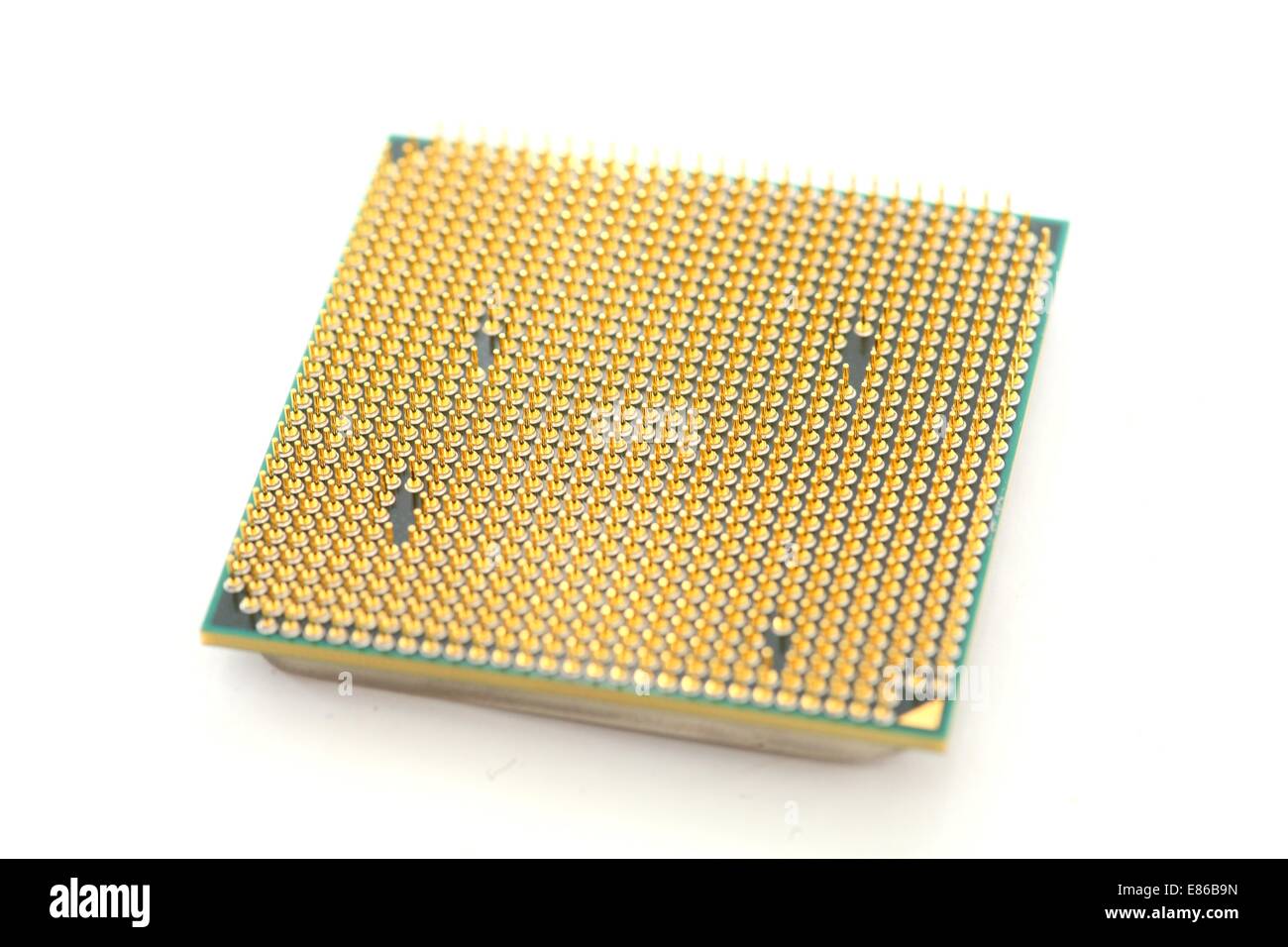 Closeup of a computer processor with golden pins over a white ...